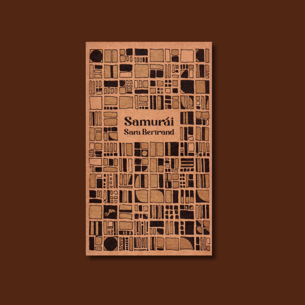 Daniela Catrileo y Álvaro Bisama entre ganadores de Premio Municipal de ...